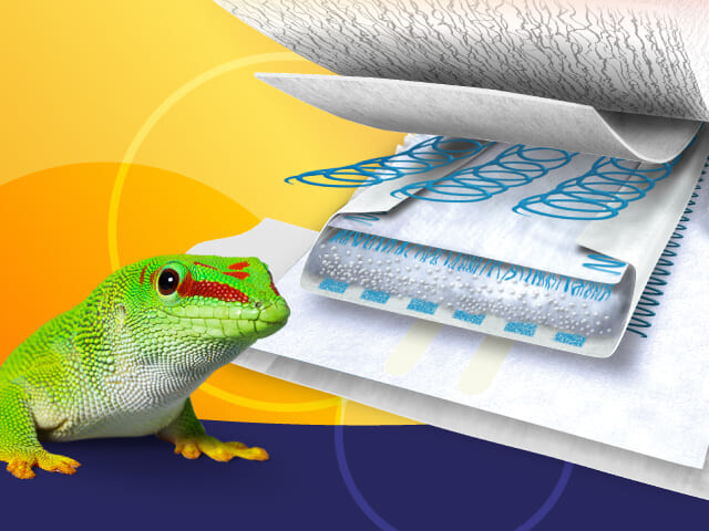 Performance Needs in Today’s Absorbent Hygiene Core Designs | Bostik Blog | Bostik US